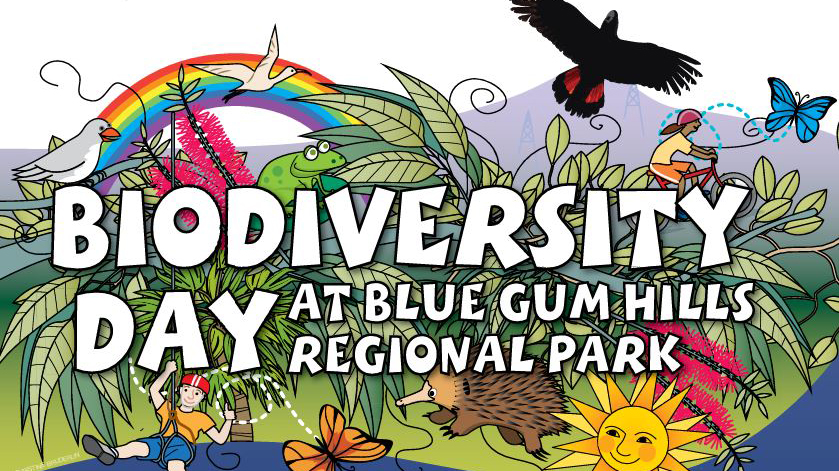 biodiversity_web | St Luke's Wallsend